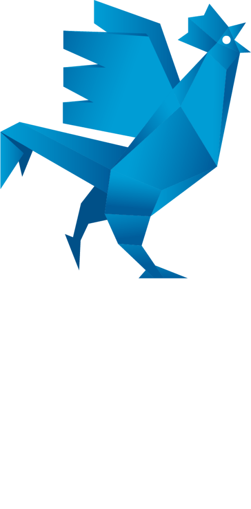 Ressort inox - MDP RESSORT